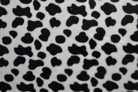 Coral fleece print 190-01